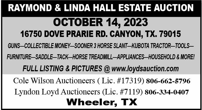 The Penny News Classifieds: Auctions - Lyndon Loyd estate auction